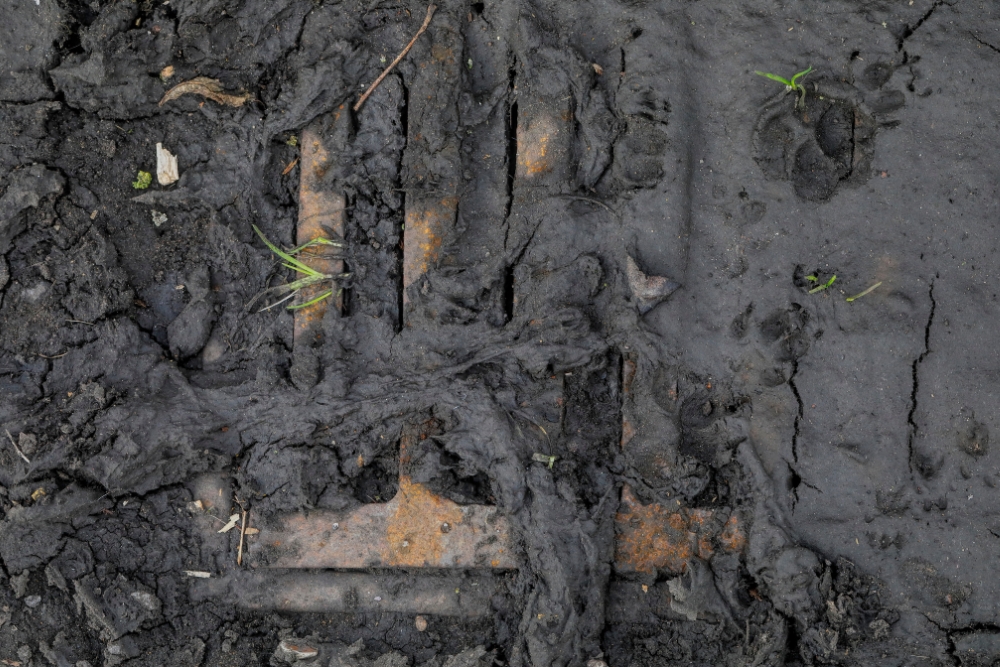 Blocked Drains Solutions. Fast, Reliable, and Effective Services