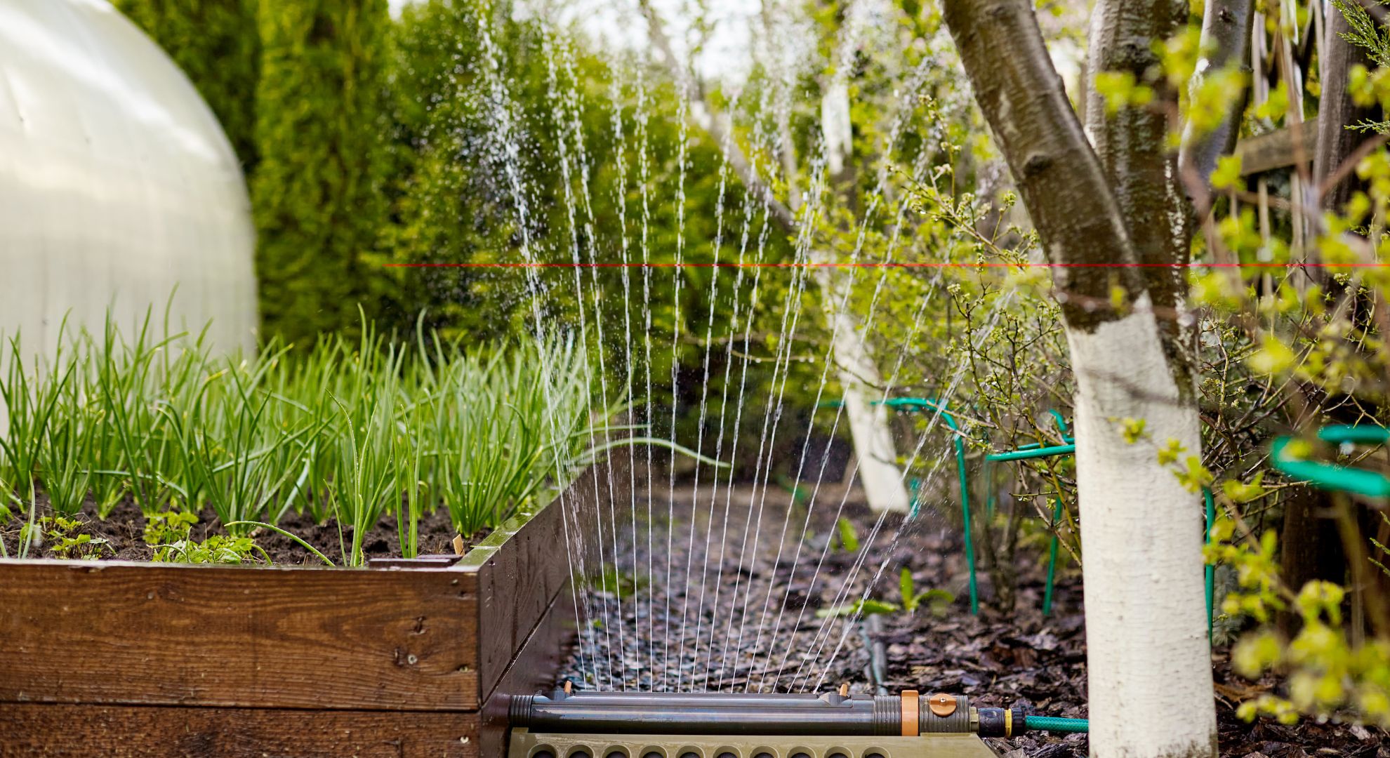 Water Saving Technologies: From Smart Taps to Leak Detection Systems ...